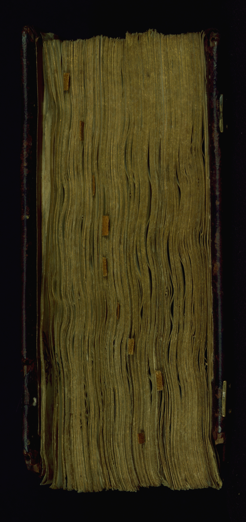 Fieschi Psalter | The Walters Art Museum