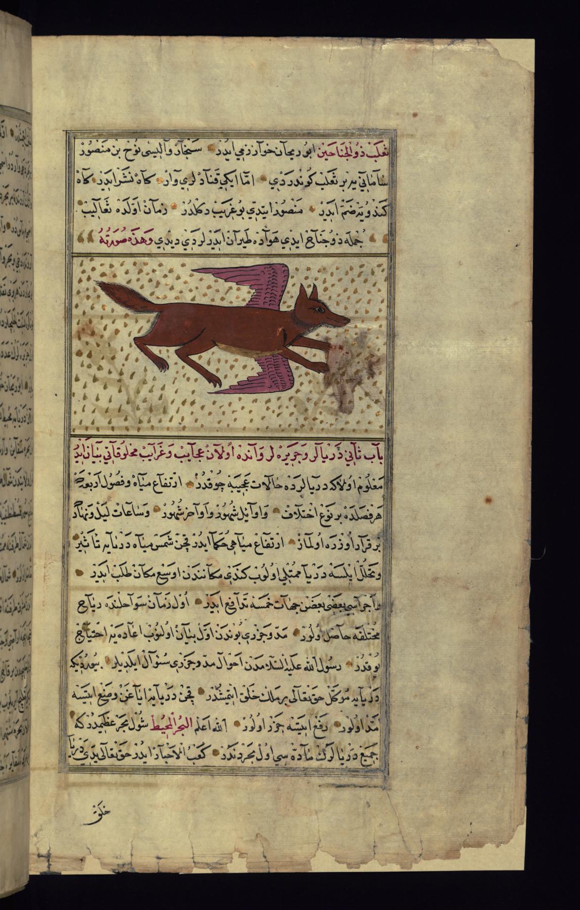 A Two-winged Fox | The Walters Art Museum