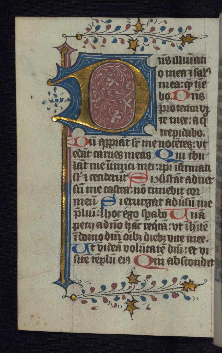 Foliate Initial "D" | The Walters Art Museum