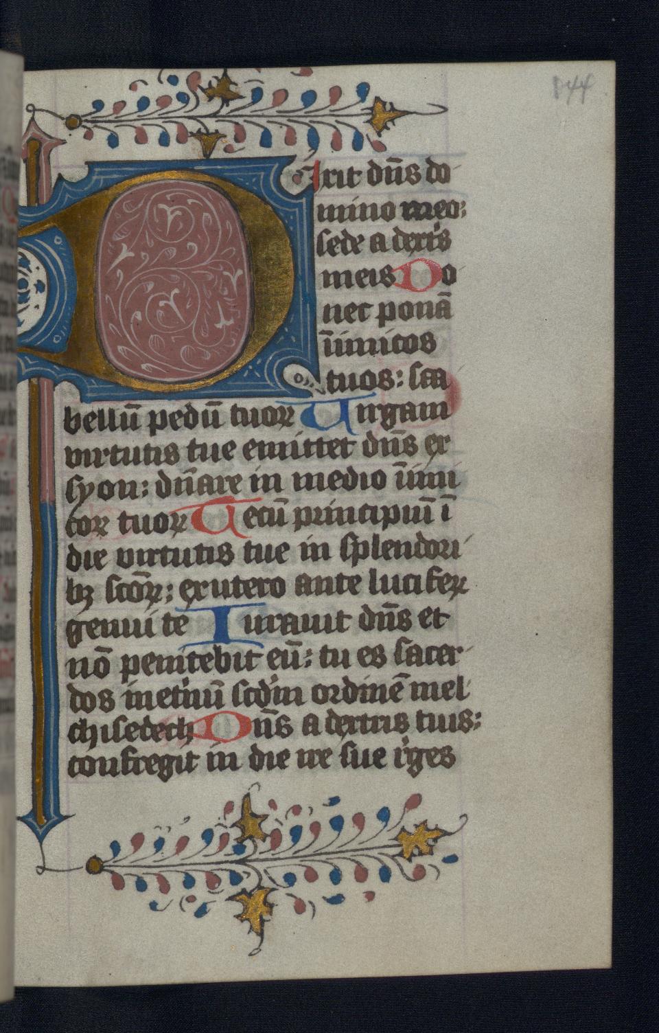 Foliate Initial "D" | The Walters Art Museum