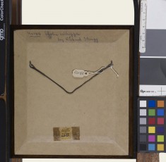 Richard Morrell Staigg | The Walters Art Museum